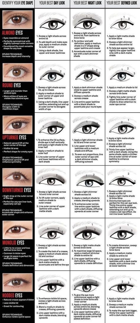 EYE SHADOW GUIDE - Blush Basics